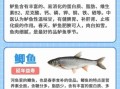 鱼的营养价值_吃鱼有什么好处