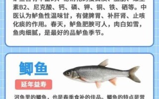 鱼的营养价值_吃鱼有什么好处