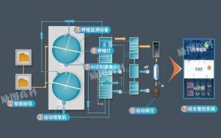 鲟鱼养殖池建设设计图_如何规划循环水系统