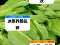 冰菜的功效与禁忌_冰菜怎么吃最健康
