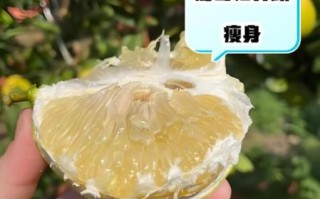 葡萄柚什么人不能吃_葡萄柚禁忌人群有哪些