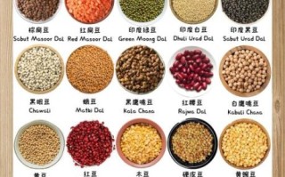 豆类图片大全_常见豆类品种有哪些