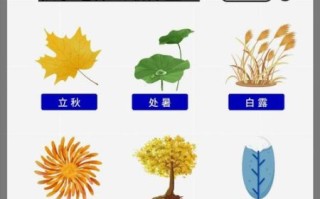 秋天吃什么食物最养生_秋季饮食禁忌有哪些