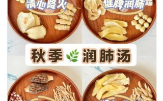 秋季润肺汤怎么做_秋冬滋补汤有哪些