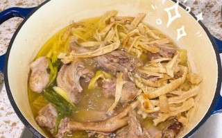 鸭肉煲的做法大全家常_鸭肉煲怎么做好吃