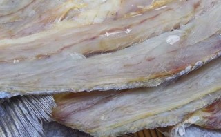 鮸鱼多少钱一斤_鮸鱼价格行情