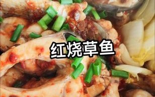 红烧草鱼怎么烧_草鱼红烧需要焯水吗