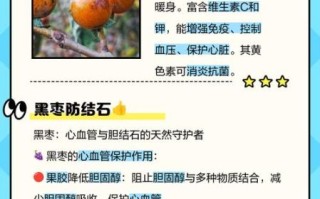 黑枣一天吃多少合适_黑枣的功效与作用一天几颗