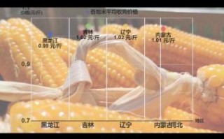 东北玉米价格最新行情2021_为什么波动这么大