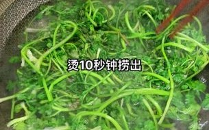 香菜怎么腌制_香菜腌制方法