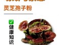 灵芝孢子粉什么人不能吃_副作用有哪些