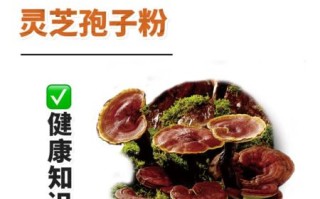 灵芝孢子粉什么人不能吃_副作用有哪些