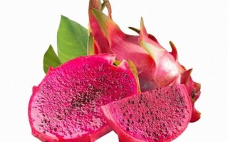 红心火龙果产地在哪里_红心火龙果哪个产地最好