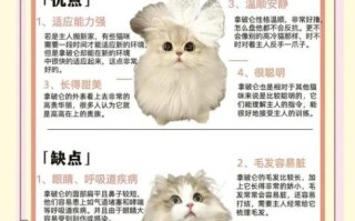 拿破仑猫为什么不能养_拿破仑猫饲养禁忌