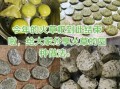 清明粑怎么做_清明粑的做法大全