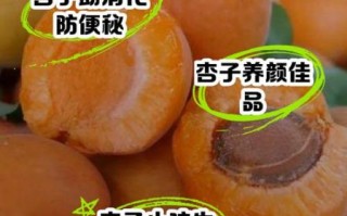 杏的营养价值及功效与作用_吃杏会上火吗