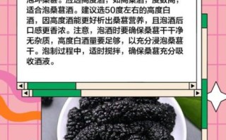 黑桑葚干泡水喝的禁忌_哪些人不能喝