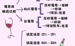 葡萄酒怎么做_自制葡萄酒详细步骤
