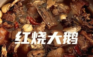 红烧鹅肉怎么做好吃_红烧鹅肉最正宗的做法