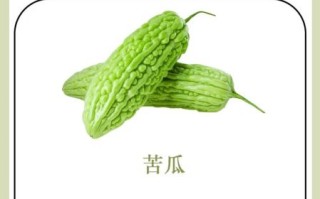 败火吃什么食物有哪些_败火食物排行榜