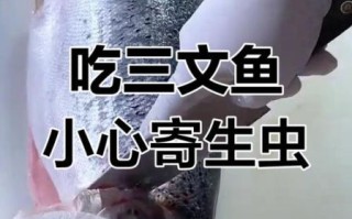 三文鱼有寄生虫吗_生吃三文鱼安全吗