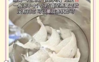 燕窝怎么煮_燕窝泡发多久最好
