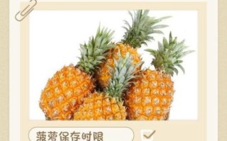 菠萝笔记app怎么用_菠萝笔记app安全吗