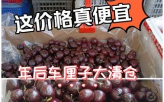 车厘子多少钱一斤_车厘子为什么这么贵