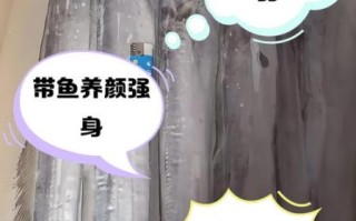 带鱼的营养价值_带鱼的功效与作用