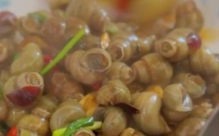 螺蛳怎么做好吃_螺蛳的吃法有哪些