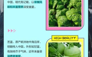 苤蓝是什么菜_苤蓝和芥蓝头区别