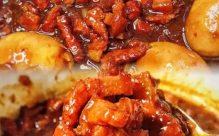 家常卤肉饭怎么做_卤肉饭用什么肉最好