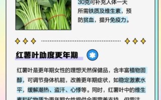 红薯叶怎么吃_红薯叶的营养价值有哪些