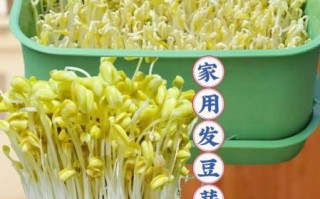 豆芽视频怎么下载_豆芽视频安全吗