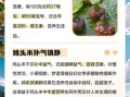 鸡头米的功效与作用_鸡头米的禁忌有哪些