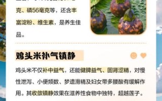 鸡头米的功效与作用_鸡头米的禁忌有哪些