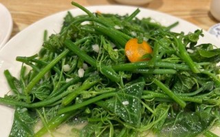 倭瓜尖怎么炒好吃_倭瓜尖要不要焯水