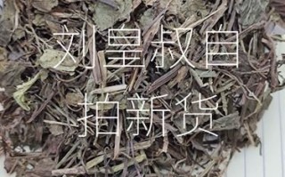 连钱草的功效与作用_连钱草怎么泡水喝