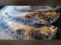 香煎凤尾鱼怎么腌制_凤尾鱼腌制多久入味
