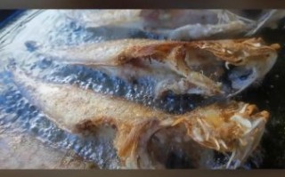 香煎凤尾鱼怎么腌制_凤尾鱼腌制多久入味