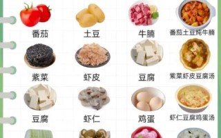 家常菜谱100道简单_新手怎么快速上手