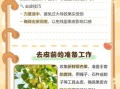 银杏果怎么去皮最简单_银杏果去皮最快方法