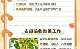 银杏果怎么去皮最简单_银杏果去皮最快方法