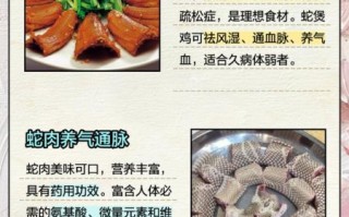 蛇肉的功效与作用_蛇肉怎么吃最补