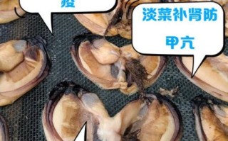 淡菜哪些人不能吃_淡菜禁忌人群