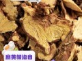 麻根的功效与作用_麻根能治疗哪些疾病
