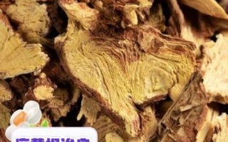 麻根的功效与作用_麻根能治疗哪些疾病