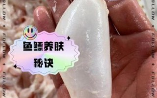 鱼鳔的功效与作用_鱼鳔怎么吃最补 鱼鳔的功效与作用_鱼鳔怎么吃最补