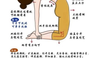 练瑜伽的好处有哪些_瑜伽能减肥吗