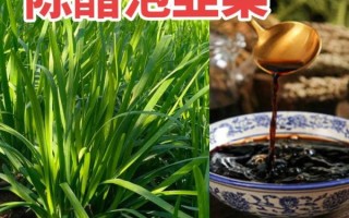 韭菜咸菜怎么腌制_韭菜咸菜腌制多久能吃